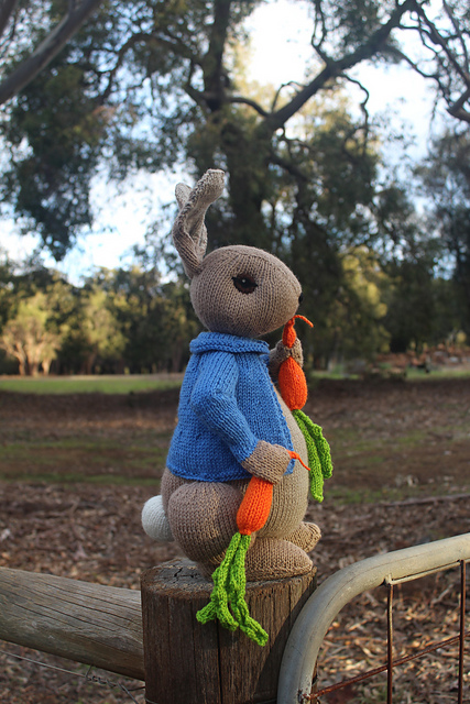 Ravelry: LindaDavie's Peter Rabbit