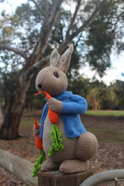 Ravelry: LindaDavie's Peter Rabbit