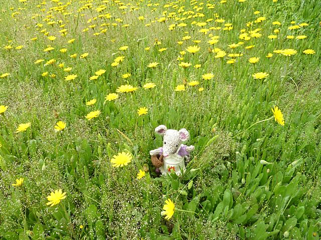 Ravelry: Linguist77's Little Miss Mouse in the Meadow