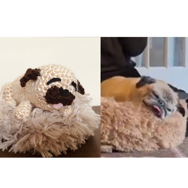 Ravelry: Noodle the pug (Bones Day/ No Bones Day) pattern by Karrie Gibbons