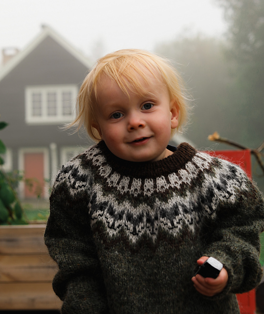 Ravelry: The Lupe Sweater pattern by Anna-Sofia Vintersol