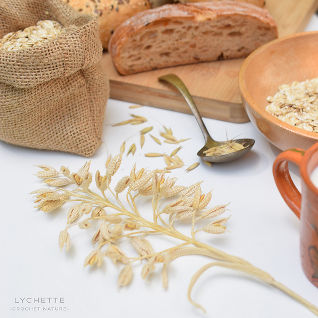 Ravelry: Oat pattern by Lychette Crochet Nature