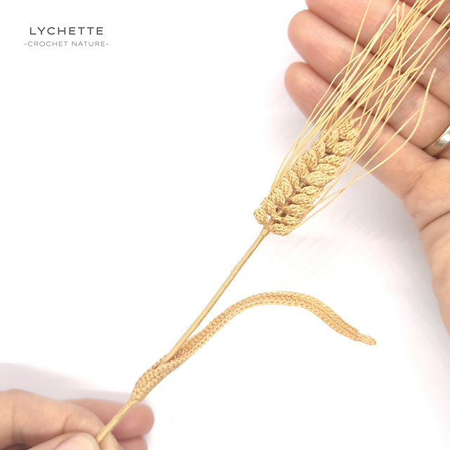 Ravelry: Ear of wheat pattern by Lychette Crochet Nature