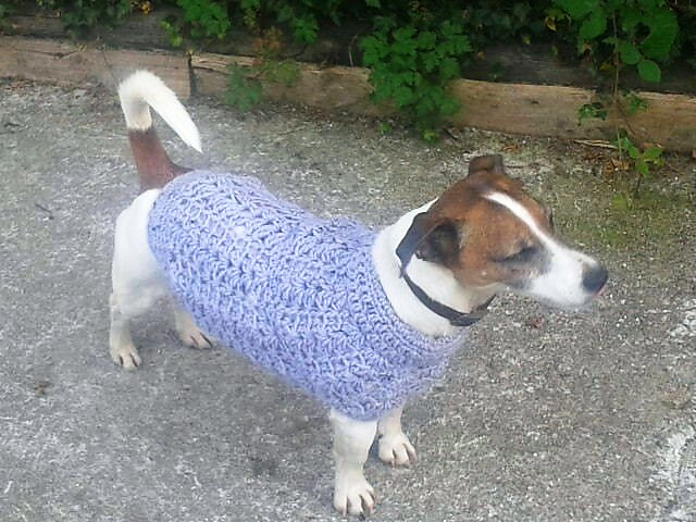 Ravelry: Terrier Dog Jumper with Shell Pattern pattern by Marie Riddle