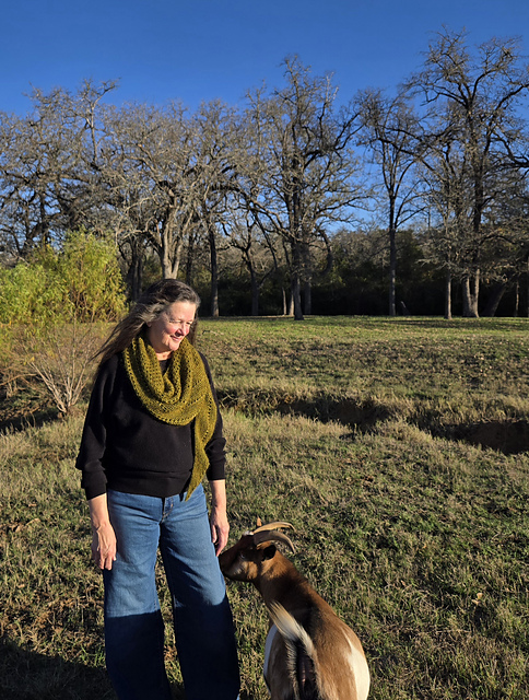 Ravelry: Jarrell Shawl pattern by Martha Wissing