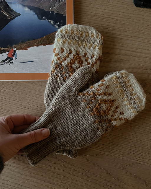 Ravelry: Tales of Patagonia Mittens pattern by Martine Jacobsen