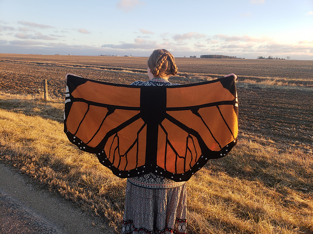 Ravelry: Monarch Butterfly Shawl pattern by Megan Nichols