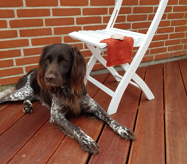 Ravelry: Staffordshire Dog pattern by Melinda Stavnsgaard