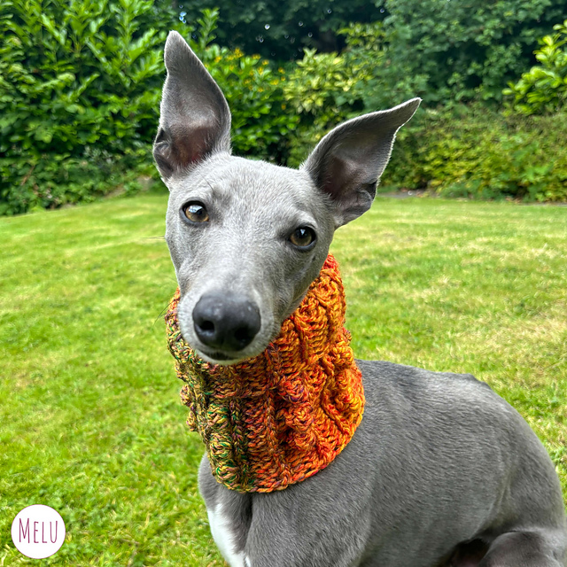 Ravelry: Doggy Bobble Snood pattern by Melanie Poulter