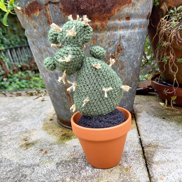 Ravelry: Disc cactus pattern by Astrid Geense