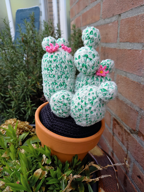 Ravelry: furry flowering cactus pattern by Astrid Geense