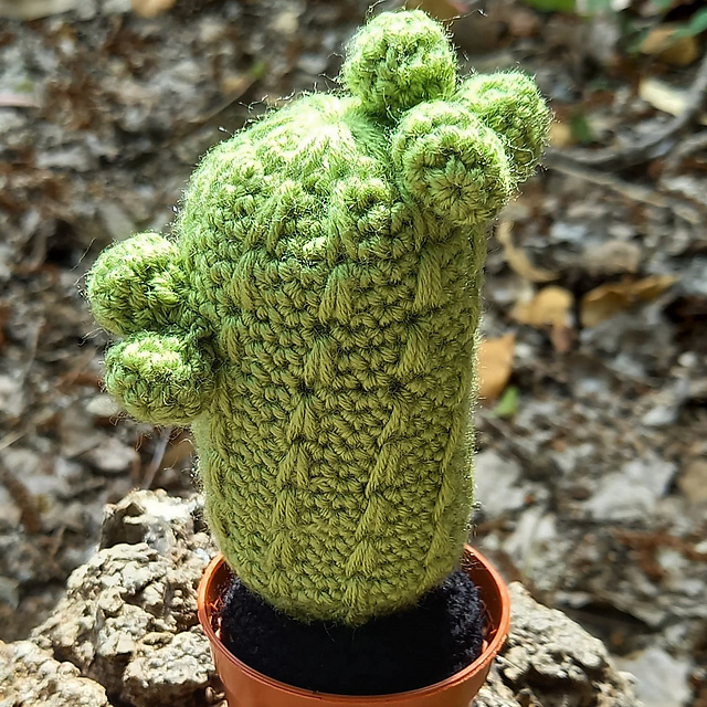 Ravelry: Spike stitch cactus pattern by Astrid Geense