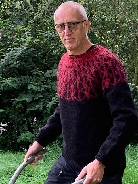 Ravelry: JEAN Rune Sweater pattern by Mieke Van Damme