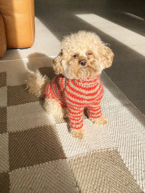 Ravelry: Stripe Overload Dog pattern by Spektakelstrik - Mie Firring