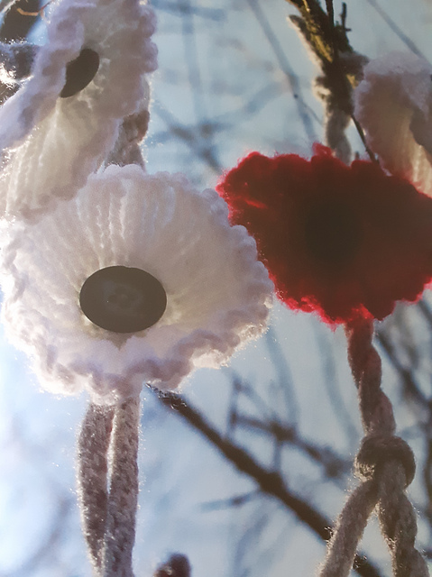 Ravelry: Remembrance Poppies pattern by Joyce Meader