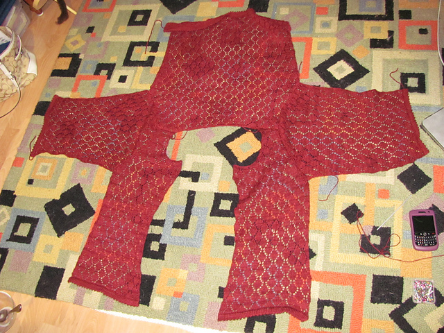 Ravelry: DevontheKnitter's My First Cardigan