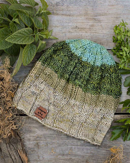 Ravelry: Congaree Beanie pattern by Nancy Bates