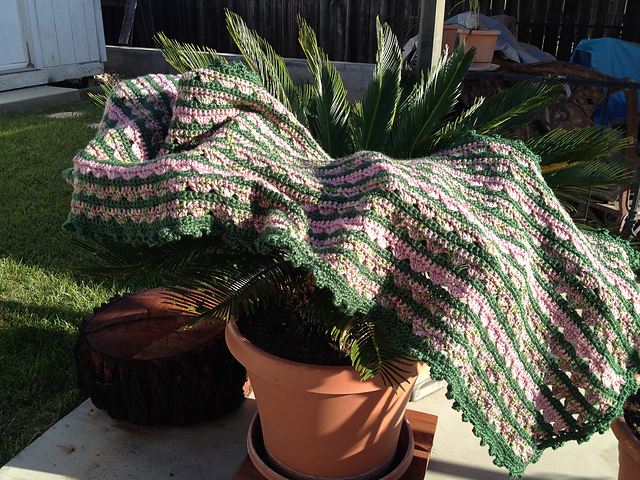 Ravelry: NeedleArtista's Rose Garden Shawl