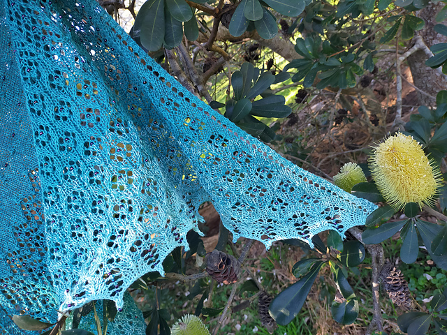 Ravelry: Needlenoses' Raining Roses