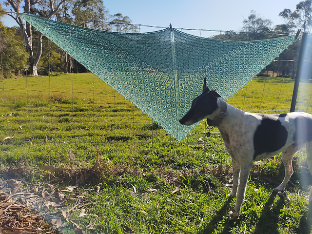 Ravelry: Needlenoses' Raining Roses