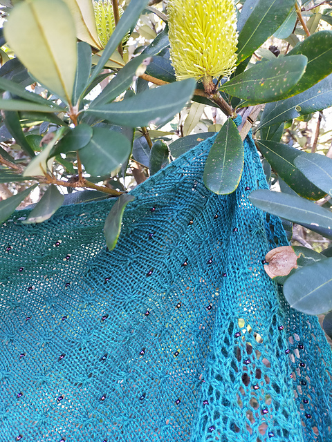 Ravelry: Needlenoses' Raining Roses