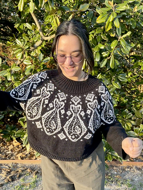 Ravelry: Nothingbuthoney's I knit for the Halibut