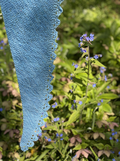Ravelry: noli me oblivisci pattern by Alitzah Grant