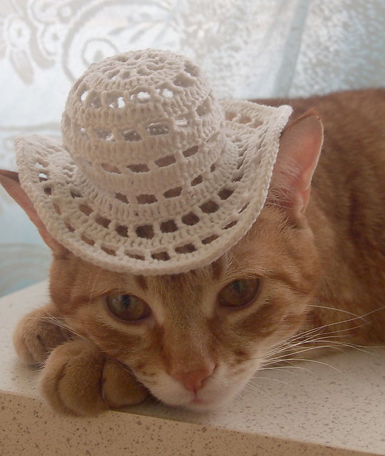 Ravelry: Hat for the Cat pattern by Olga Alex