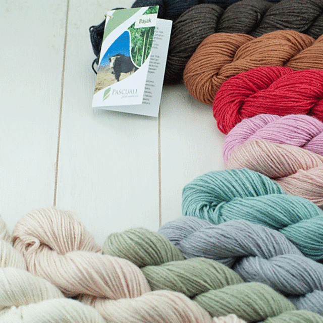 Ravelry: Pascuali Bayak (Remaining Stock)