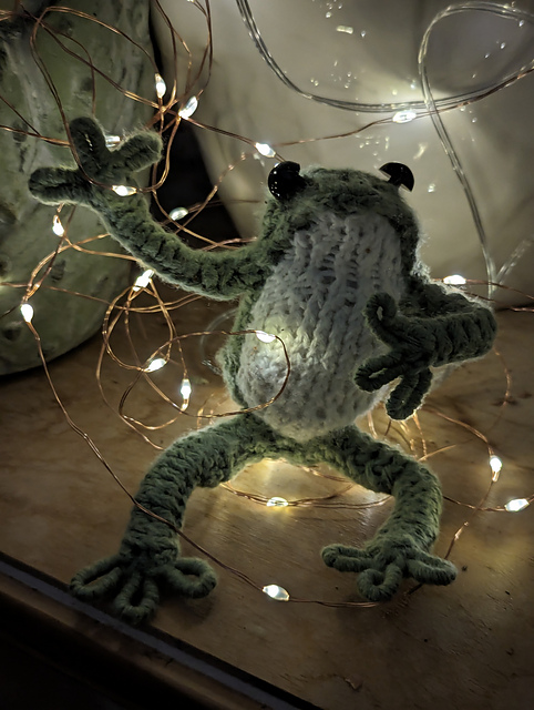 Ravelry: PinkRoseGardens' Froggy