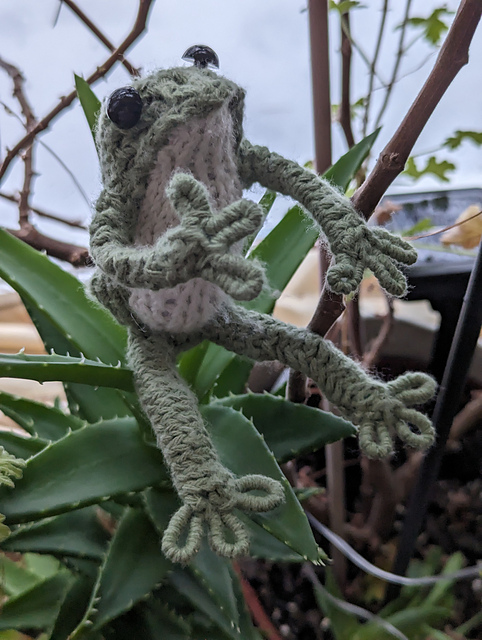 Ravelry: PinkRoseGardens' Froggy