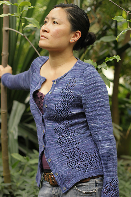 Ravelry: Arachne Cardigan pattern by Lien Ngo