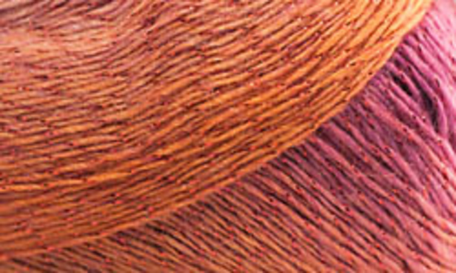 Ravelry: Nako Arya Ebruli Sim (Glitz)