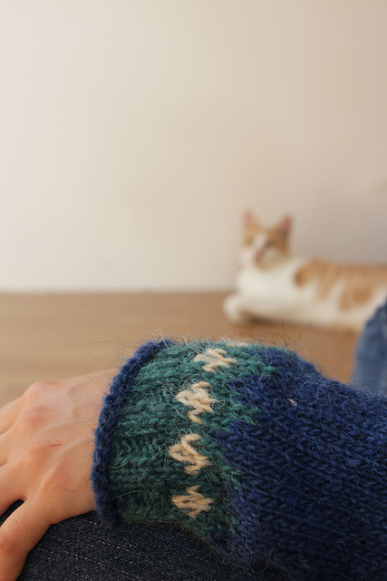 Ravelry: Popette12's Cédric's Riddari