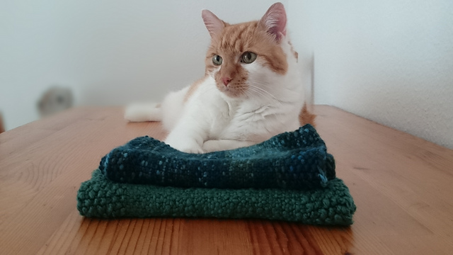 Ravelry: Roadtrip pattern by Poppy Bumbleroot