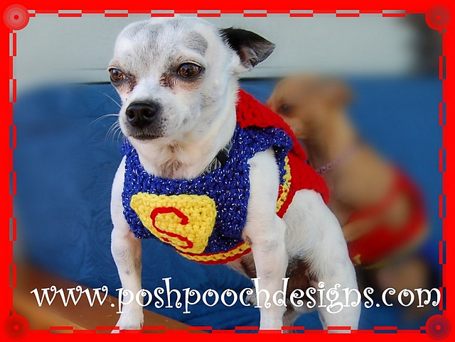 Ravelry: Super Man Super boy Dog Sweater pattern by Sara Sach
