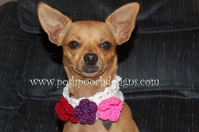 Ravelry: Dog Collar "Flowers and Lace" pattern by Sara Sach