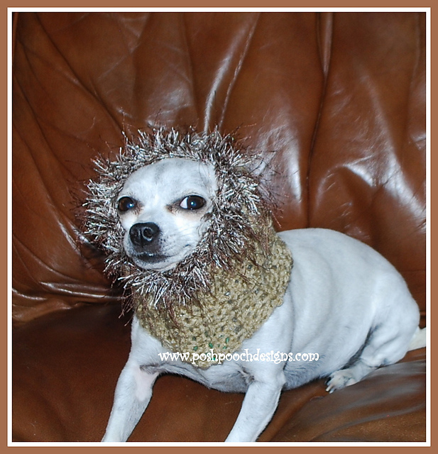 Ravelry: Fur Trimmed Dog Snood pattern by Sara Sach