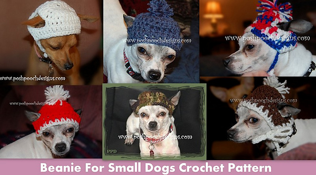 Ravelry: Crochet Beanie for Small Dogs pattern by Sara Sach
