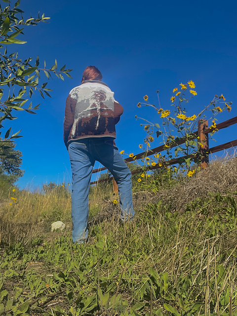 Ravelry: Evermore Cardigan or Tapestry pattern by Pretty Cruel