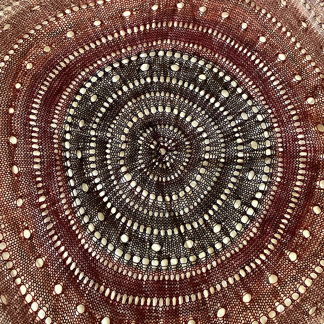 Ravelry: PukVossen's Anthology throw