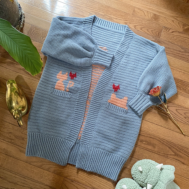Ravelry: Auggie Catigan pattern by Rachel Carson Hill