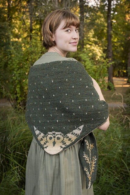 Ravelry: Strix Shawl pattern by Kyla Shea Overbay