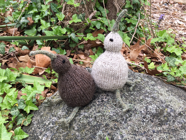 Ravelry: Kiwi bird pattern by Rosemarie Skov