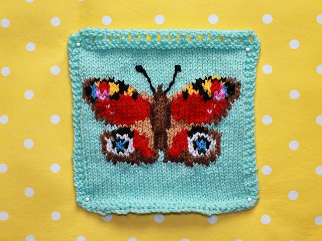 Ravelry: Peacock Butterfly Intarsia pattern by Ruby and the Foxes