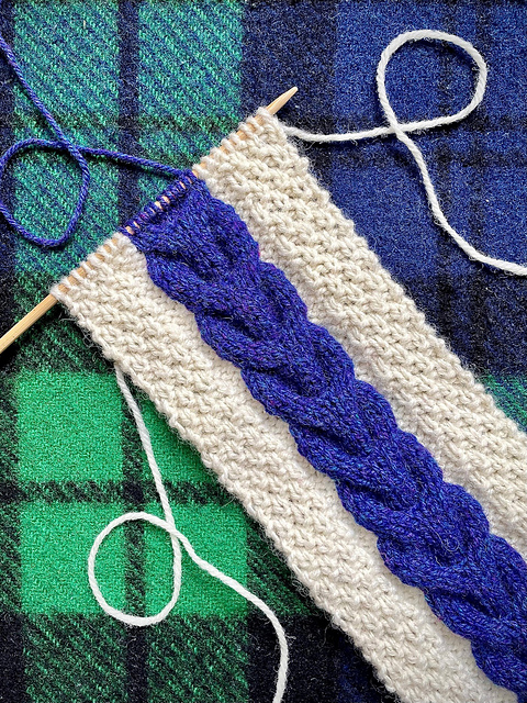 Ravelry: Traditional Irish Aran Cable Scarf: Parliament St pattern by ...