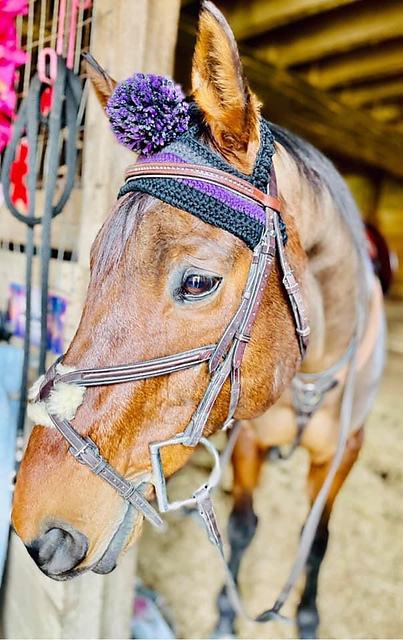 Ravelry: Pony Pom Classic pattern by Lauren Stover