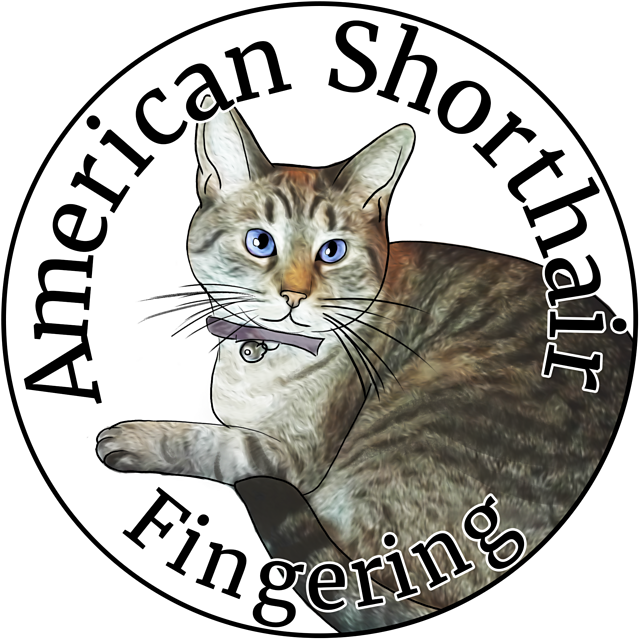 Ravelry: Serenova Crafts American Shorthair Fingering