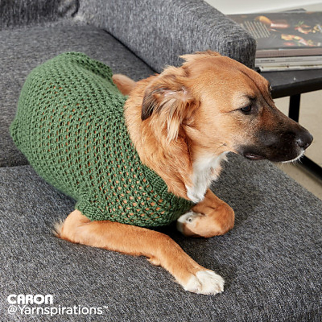 Ravelry: Crochet Dapper Pup Sweater pattern by Yarnspirations Design Studio