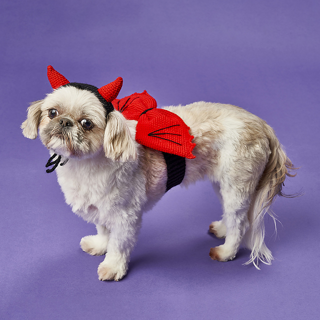 Ravelry: Doggie Halloween Costume pattern by Candy Downs